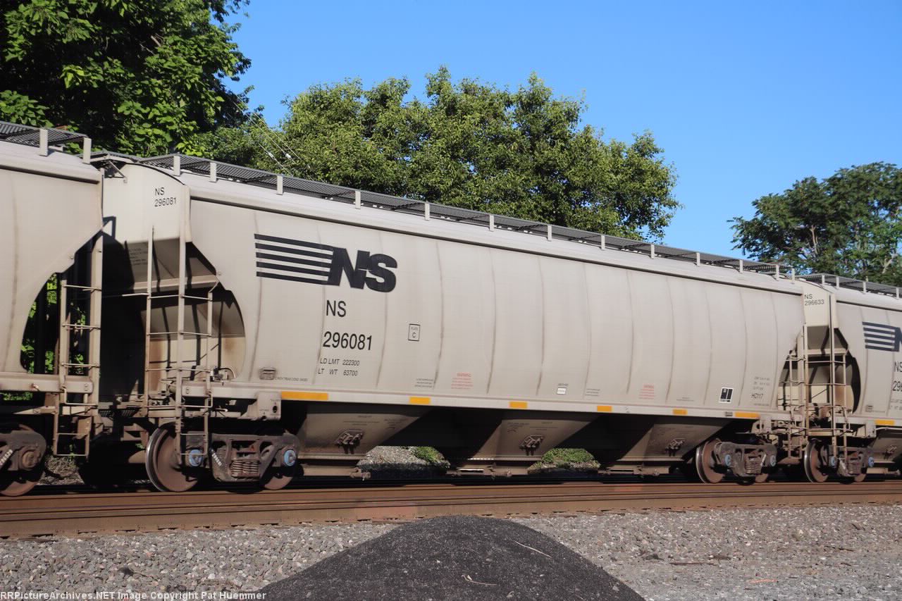 NS 296081