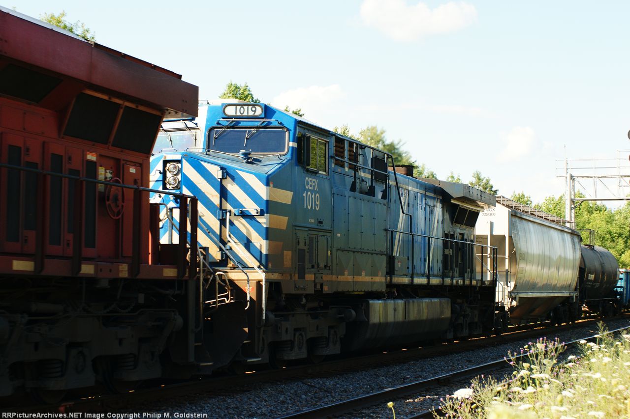 CEFX 1019