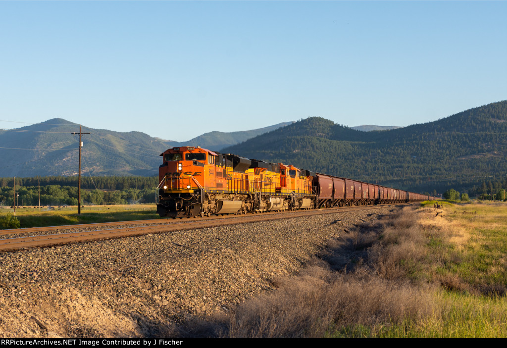 BNSF 8444