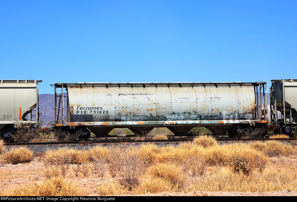 FXE Covered Hopper ex-NdeM with graffiti
