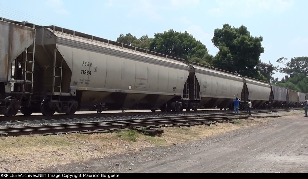 Ferrosur covered hoppers