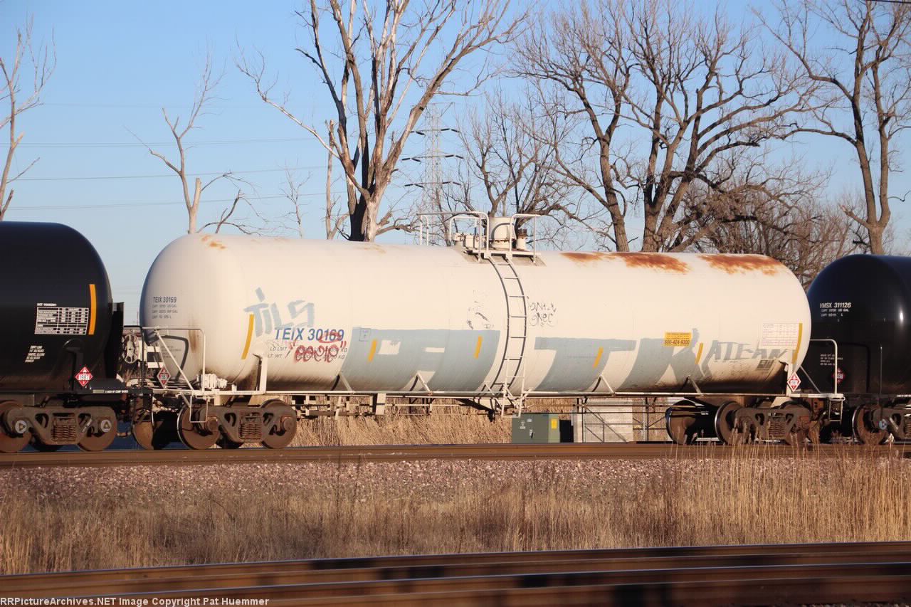 TEIX 30169