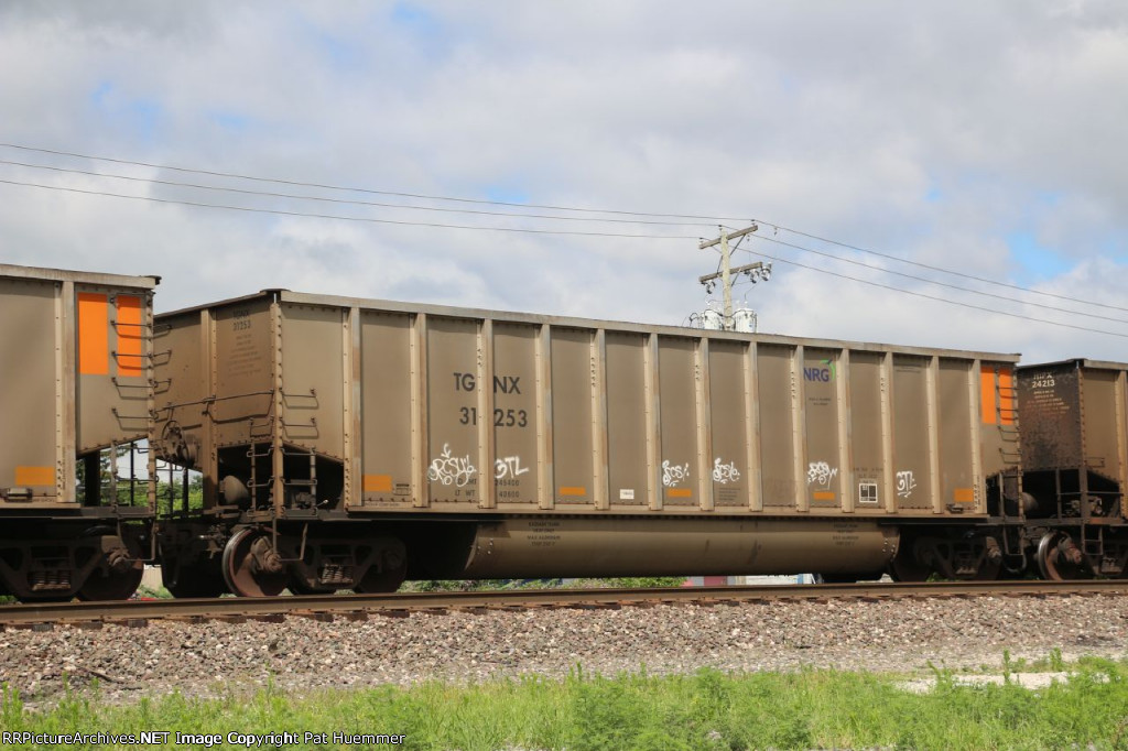 TGNX 31253
