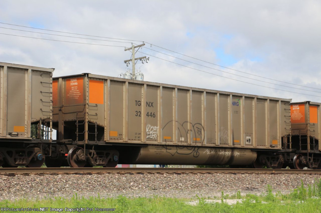 TGNX 32446
