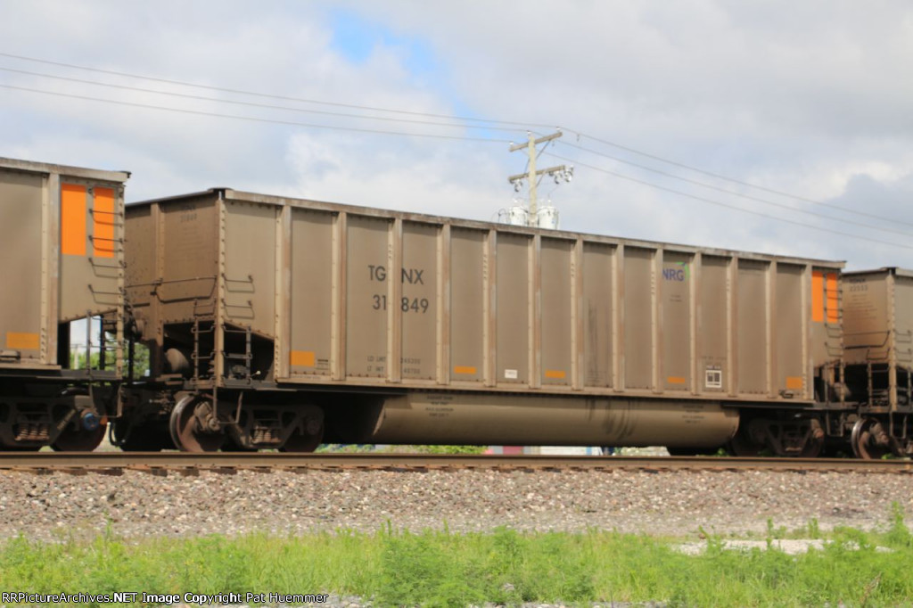 TGNX 31849