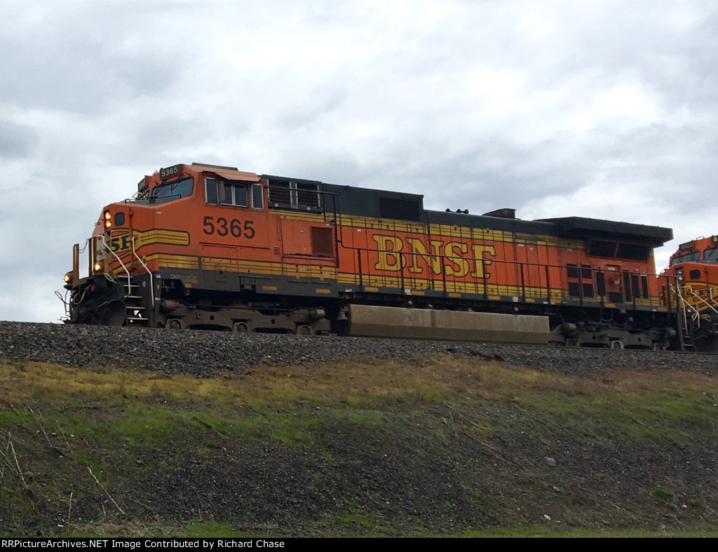 BNSF 5365