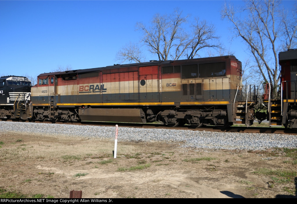 BCOL 4623