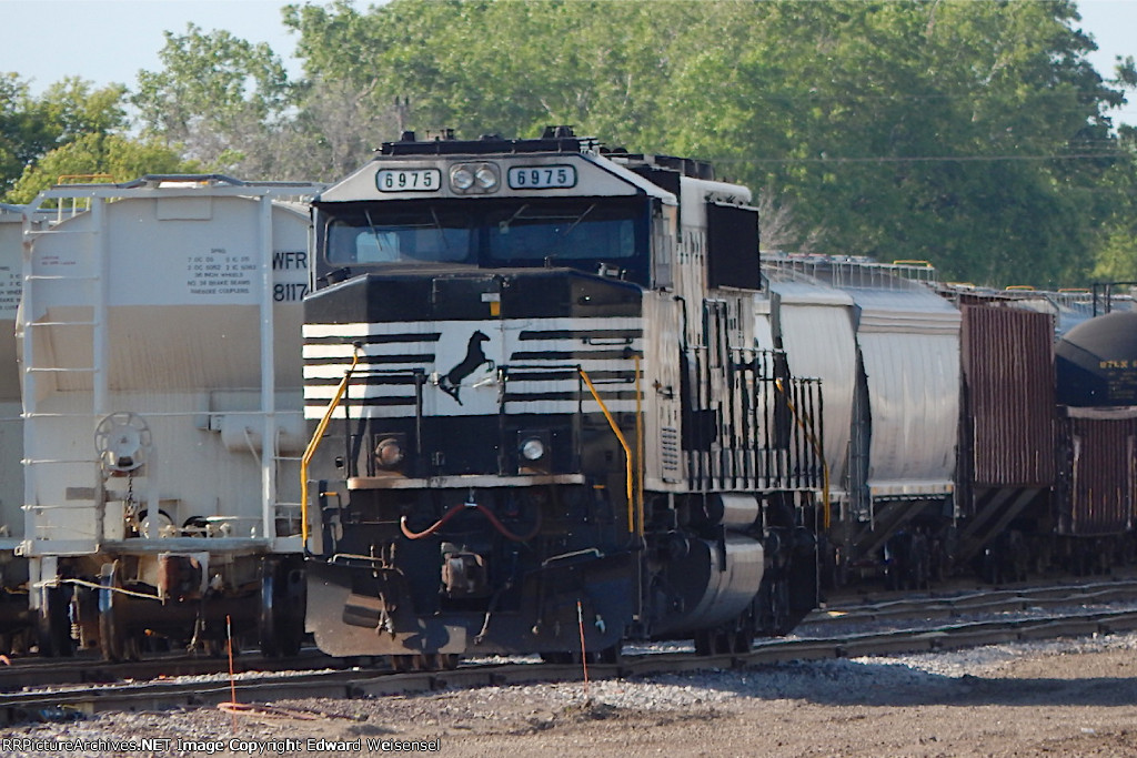 Stallion looking south from track 10