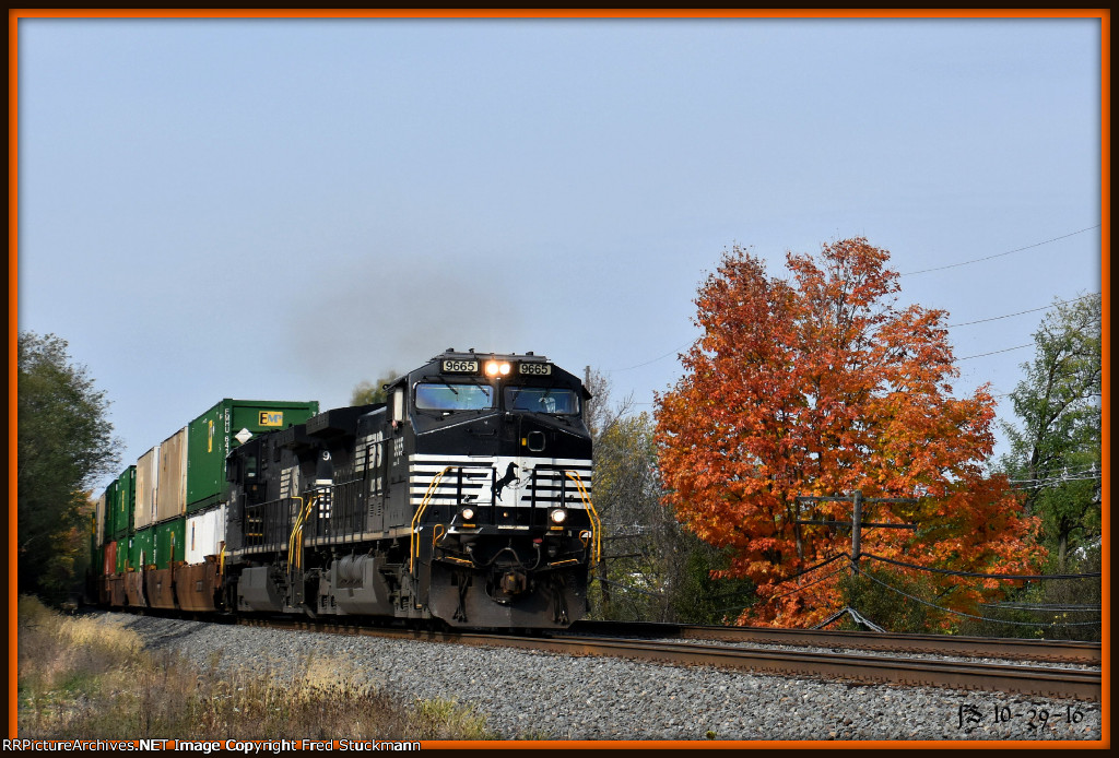 NS 9665 & the pretty tree.