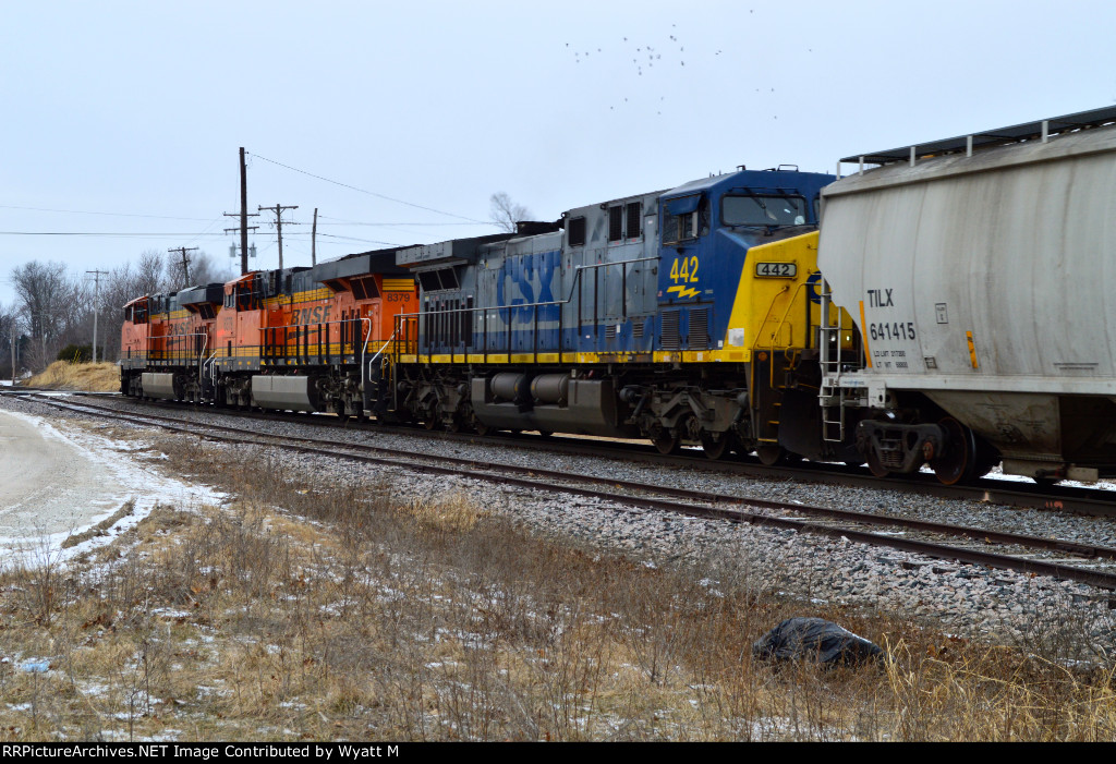 CSX 442