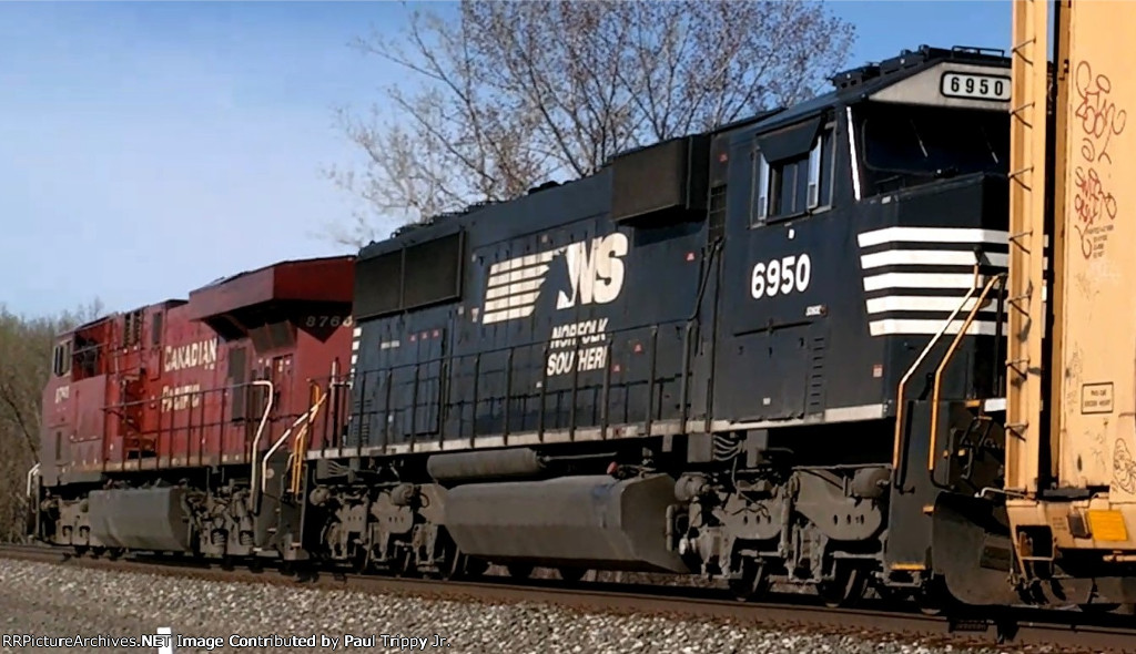 NS 6950