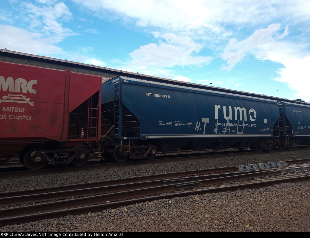 RUMO HTT-350631-2