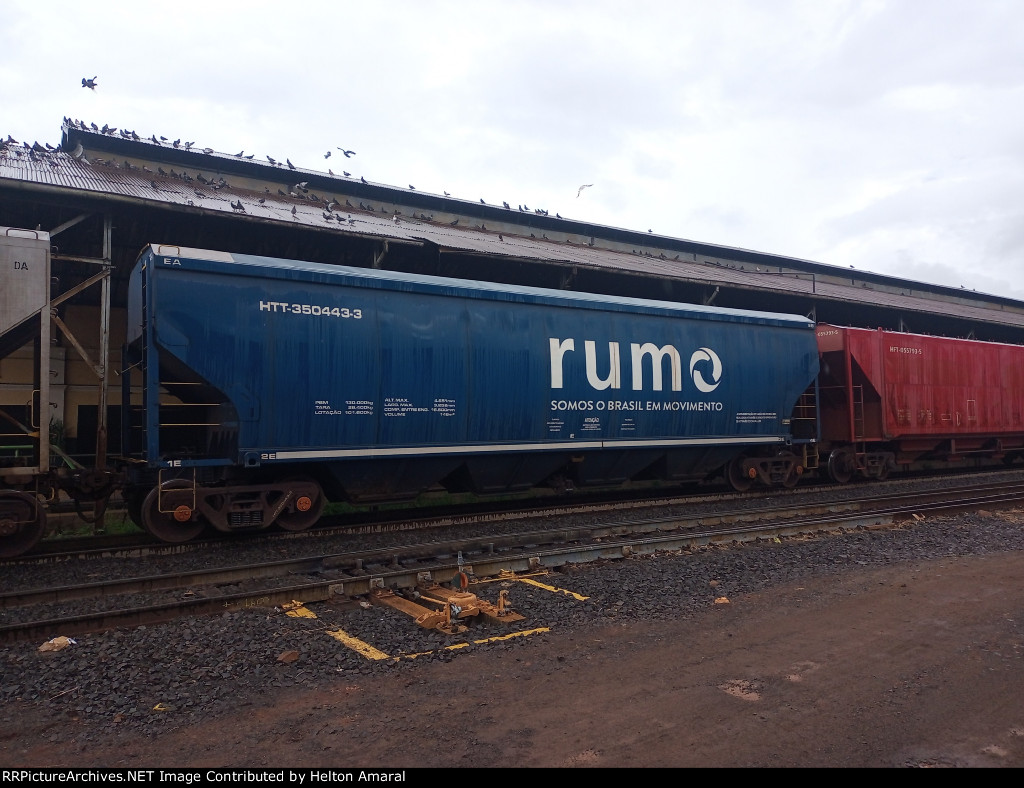 RUMO HTT-350443-3