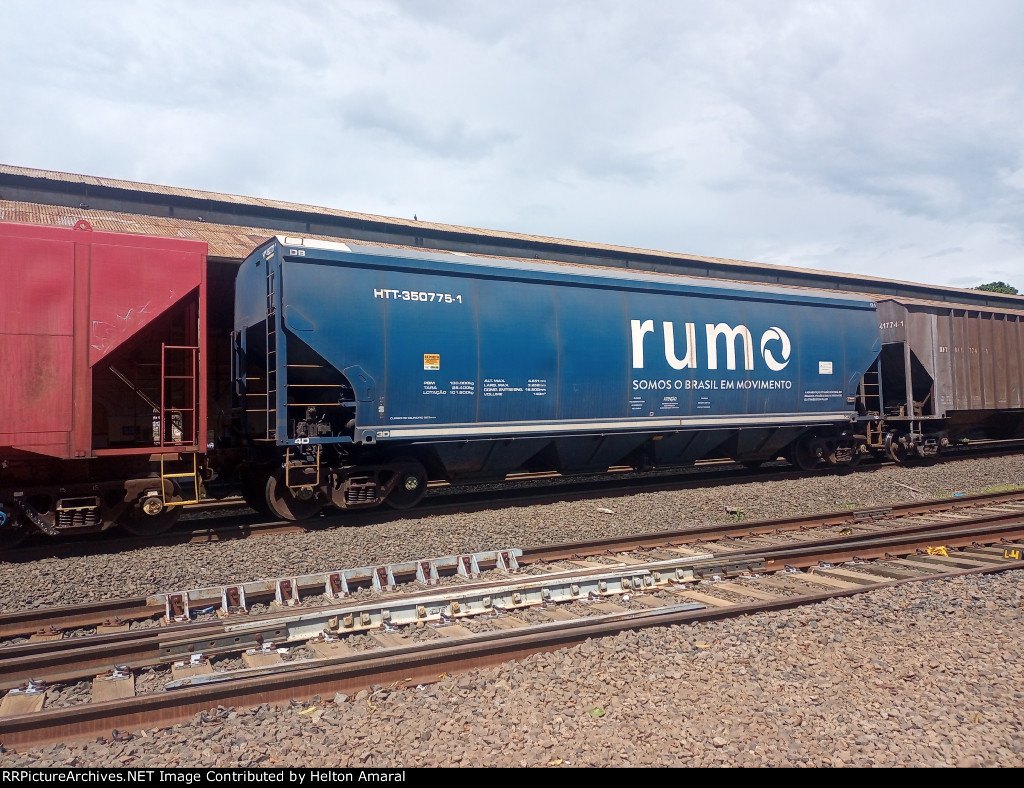 RUMO HTT-350775-1