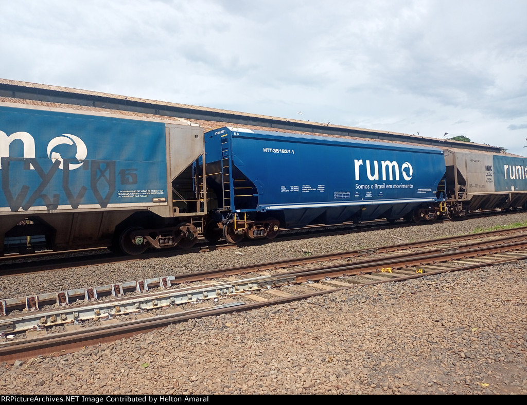 RUMO HTT-351831-1