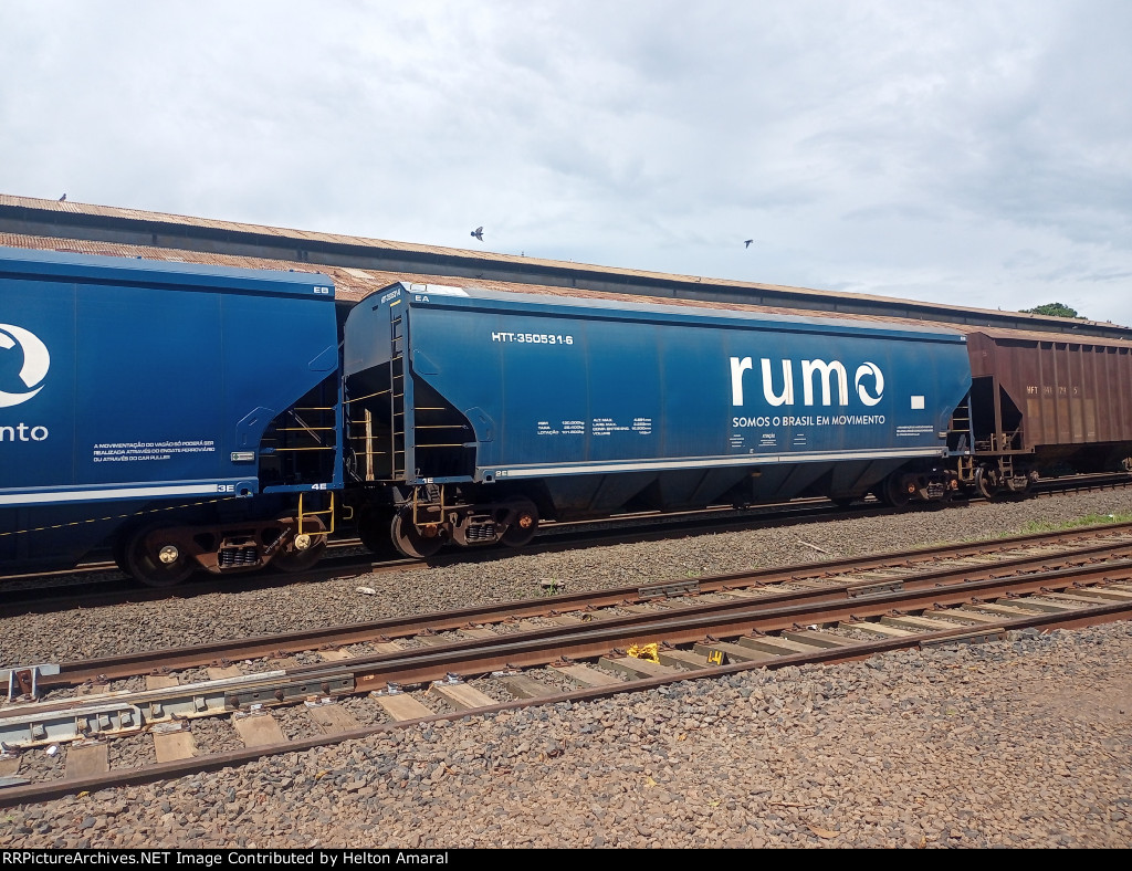 RUMO HTT-350531-6