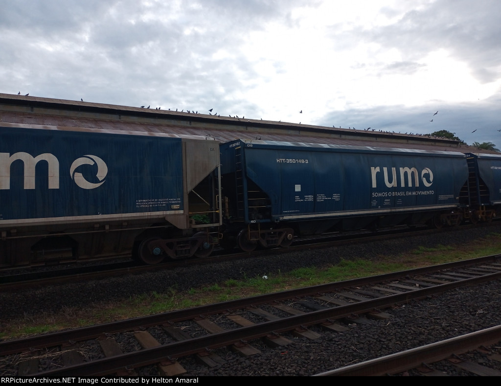 RUMO HTT-350149-3
