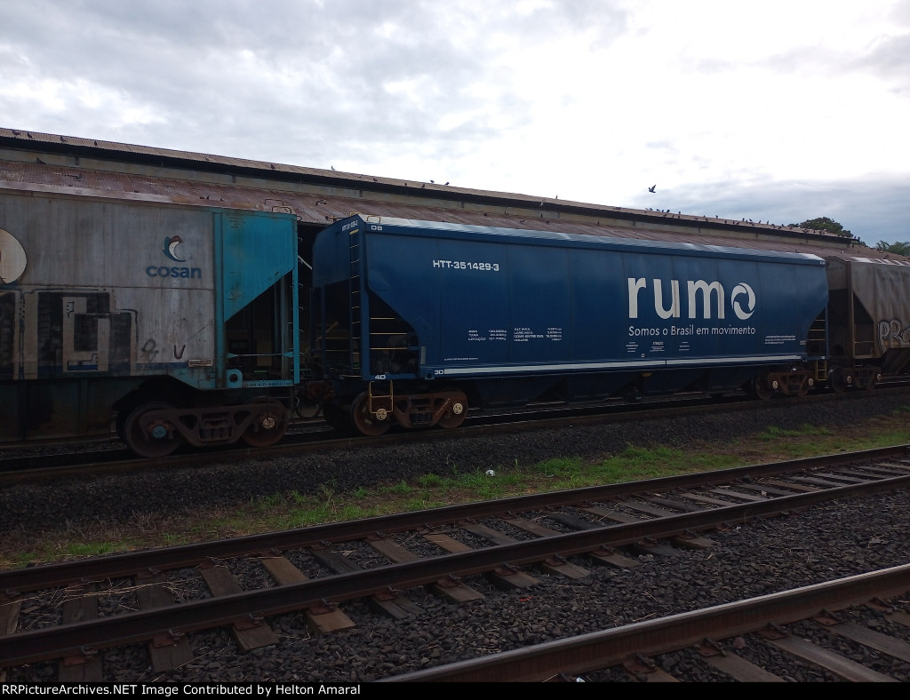 RUMO HTT-351429-3