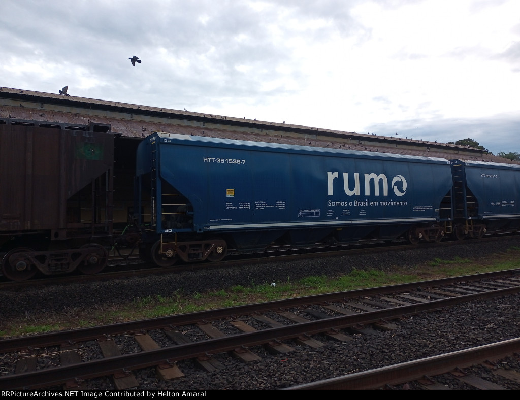 RUMO HTT-351539-7