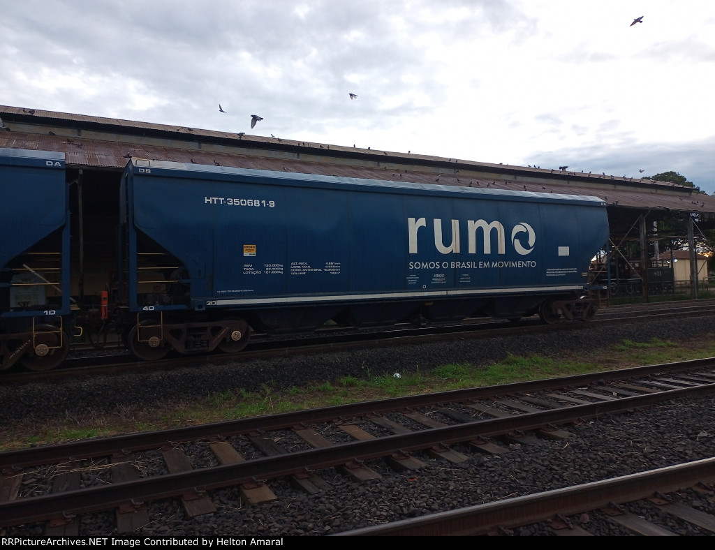 RUMO HTT-350681-9