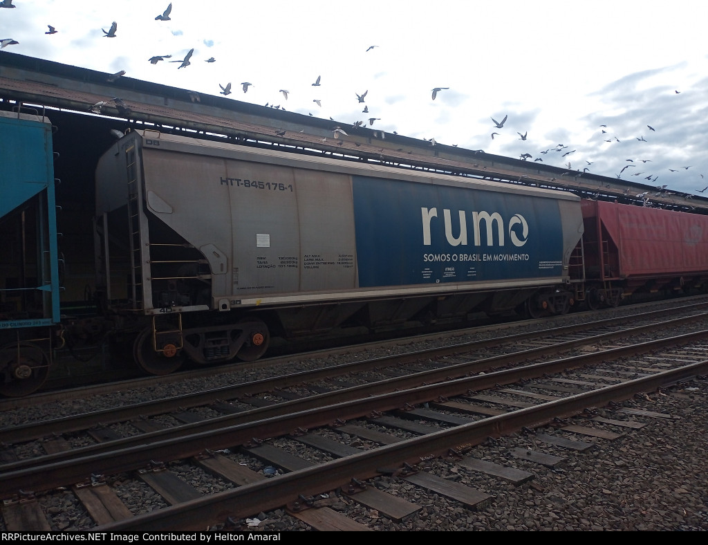 RUMO HTT-845176-1