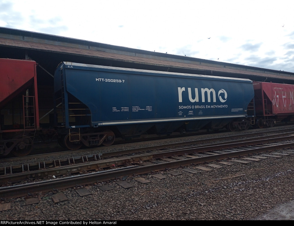 RUMO HTT-350259-7