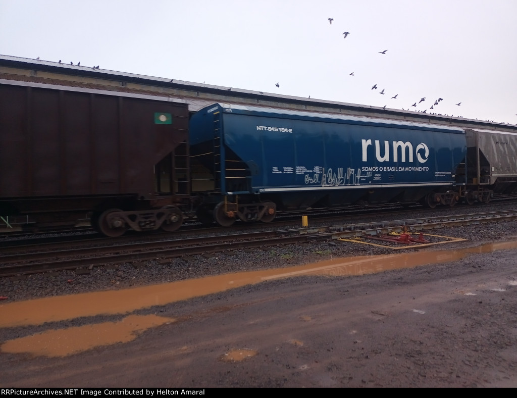 RUMO HTT-845184-2