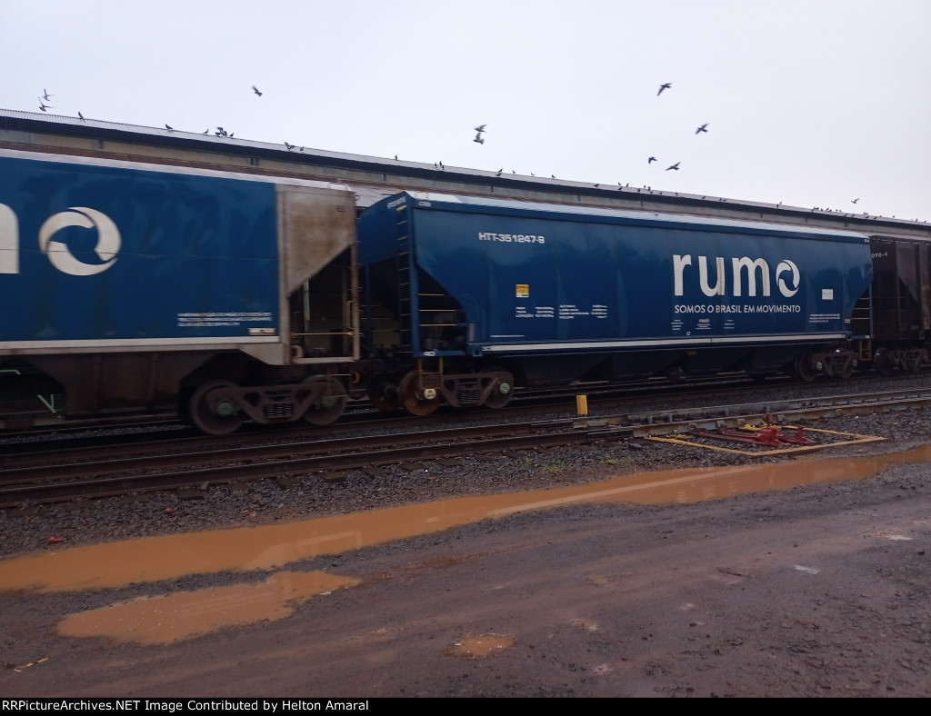 RUMO HTT-351247-9
