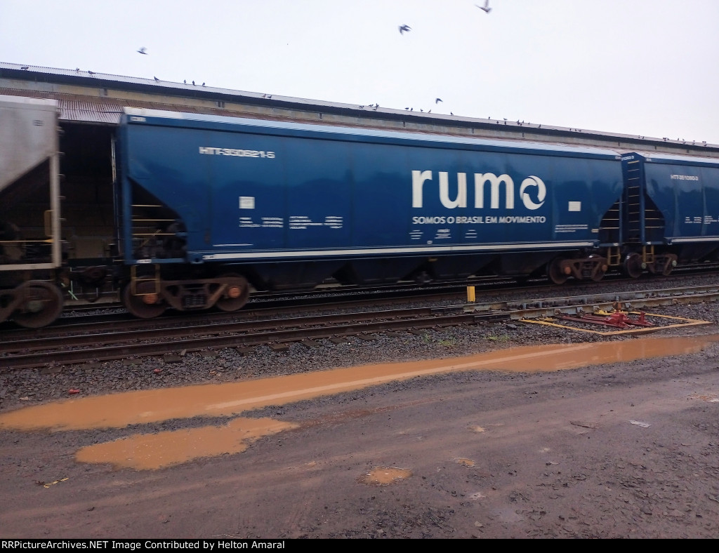 RUMO HTT-350621-5