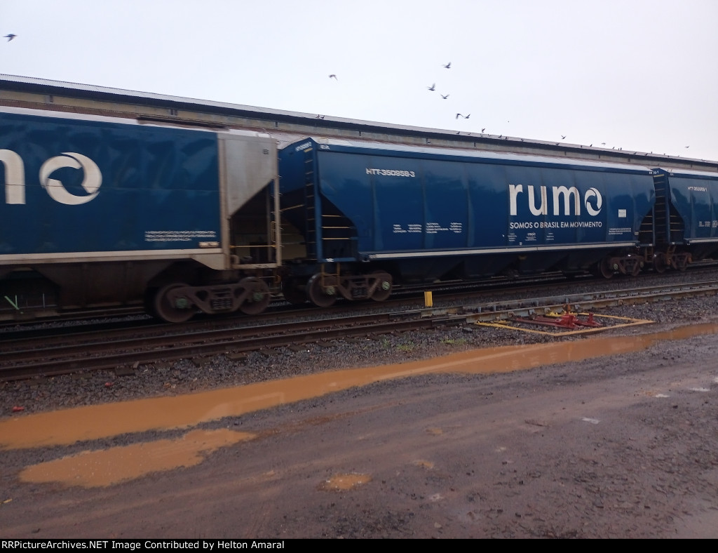 RUMO HTT-350956-3