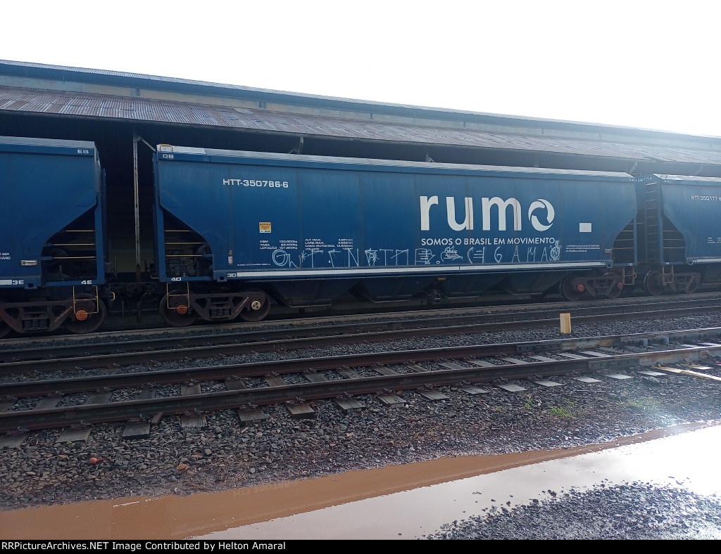 RUMO HTT-350786-6