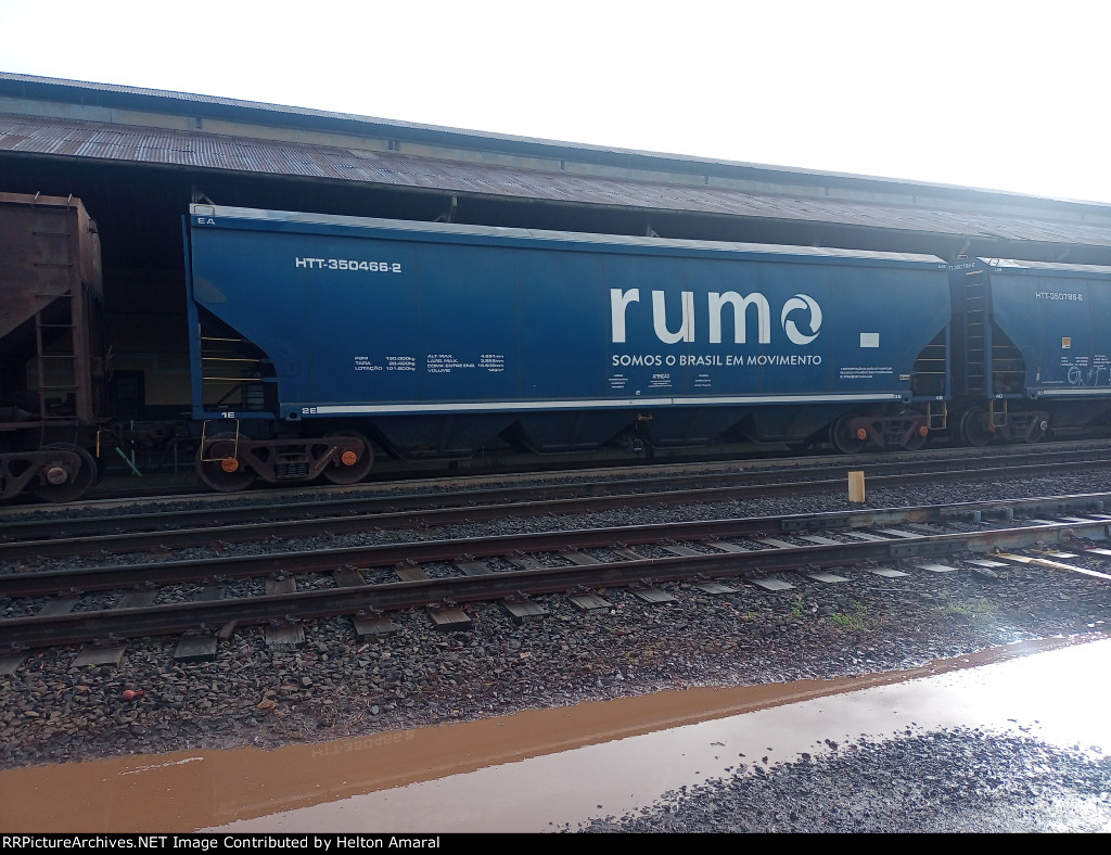 RUMO HTT-350466-2