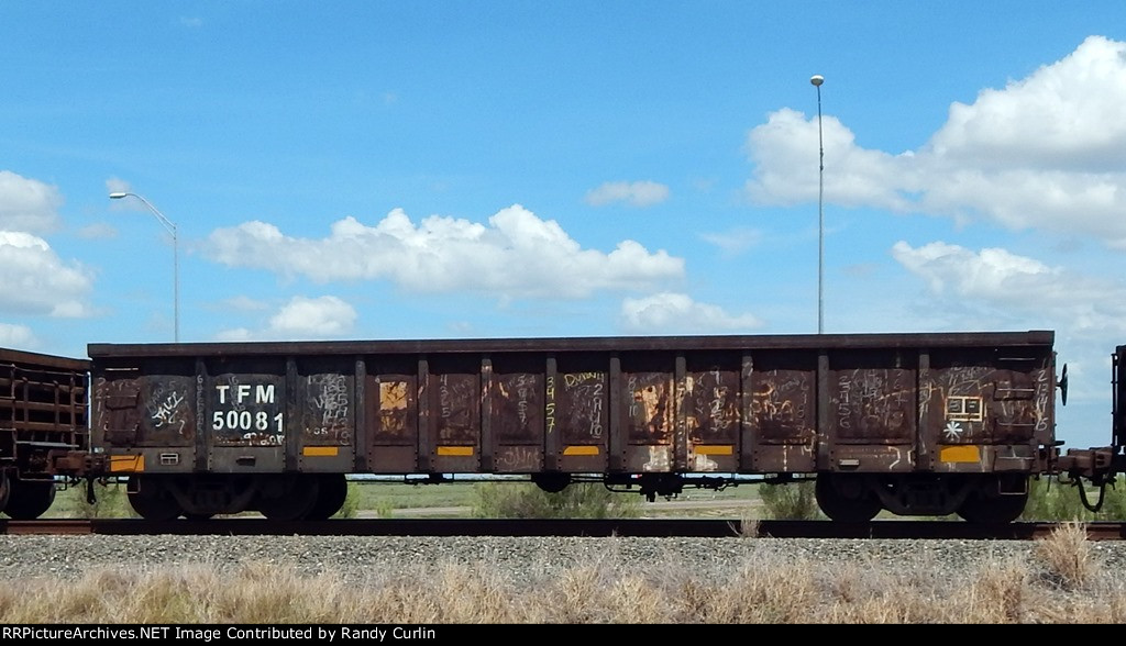 TFM 50081