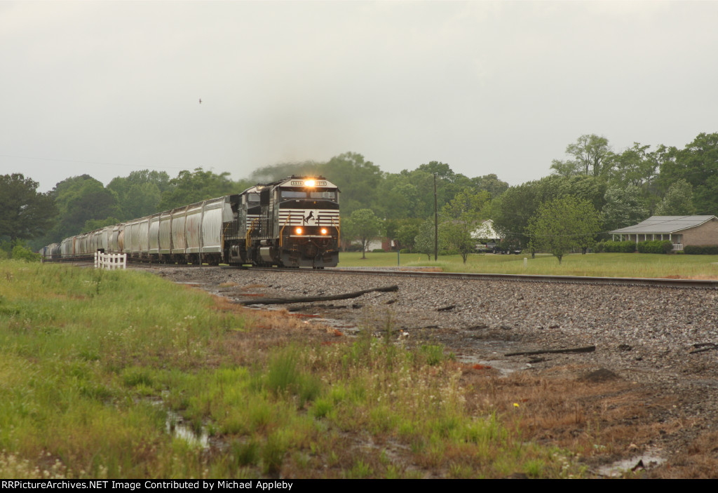 NS 6916 leads through the field.