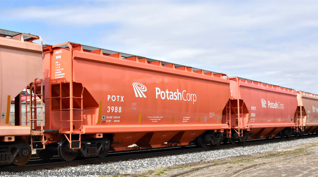 Both are new to rrpa.