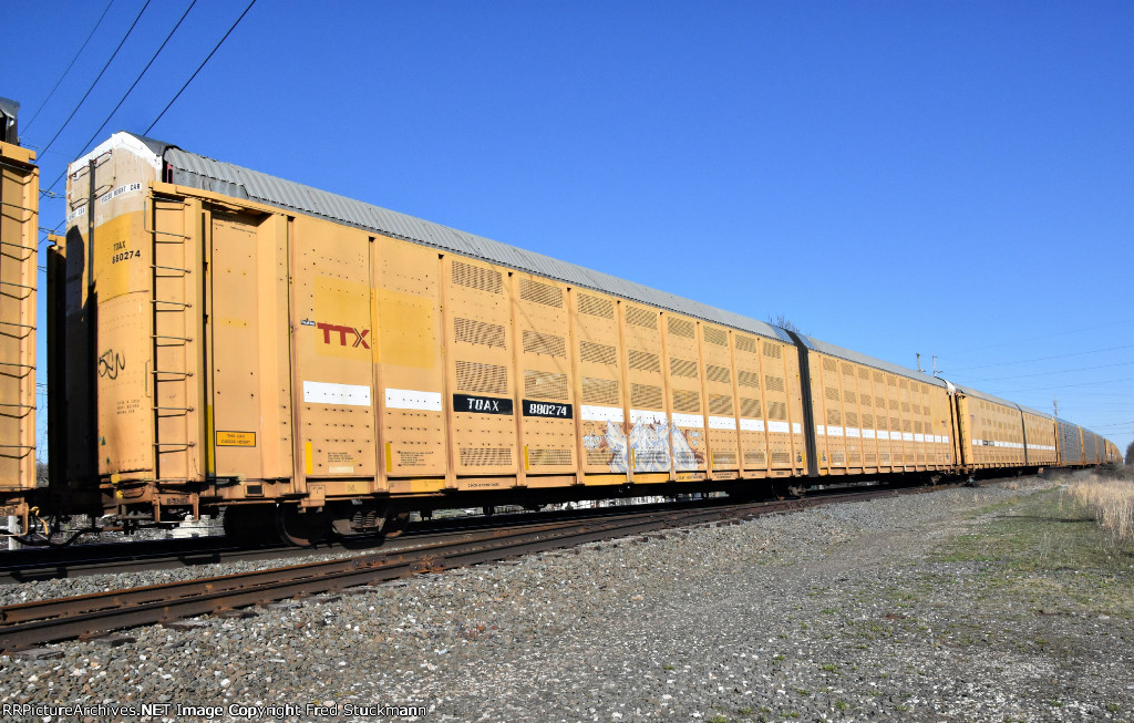 TOAX 880274 is new to rrpa.