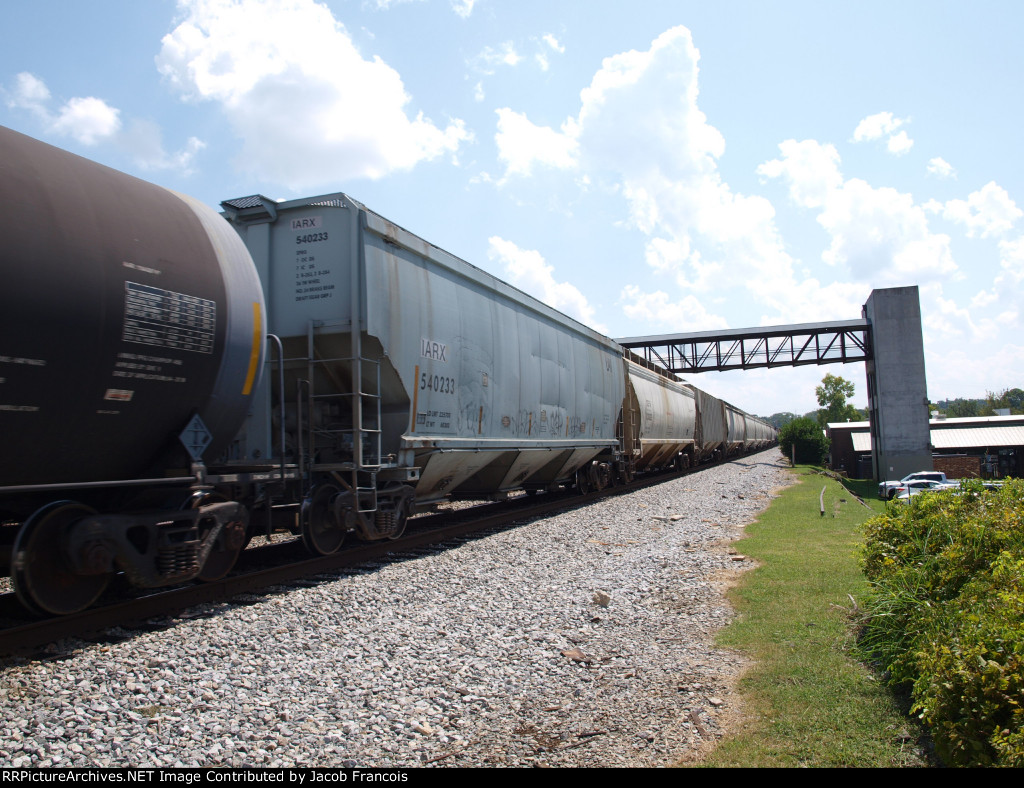 IARX 540233
