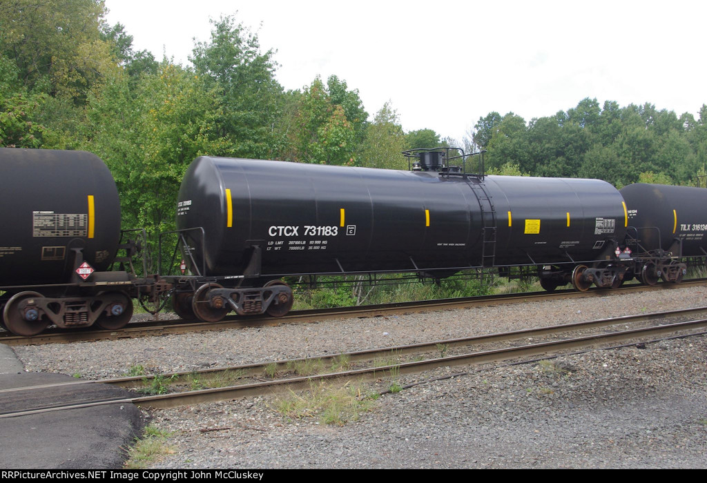 CTCX 731183