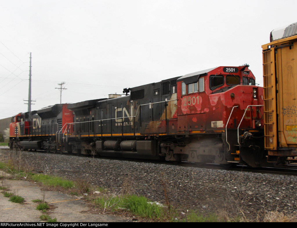 CN 2501