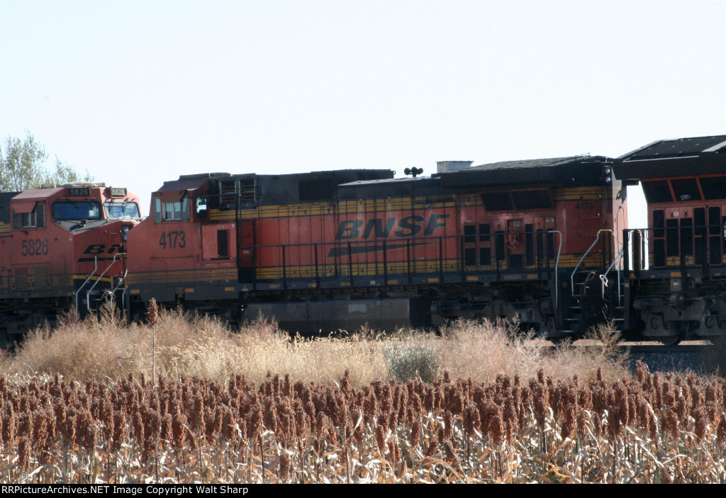 BNSF 4173