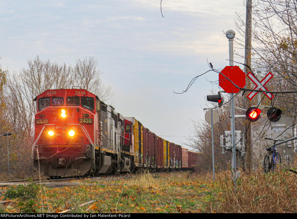 CN 2439 leads 403
