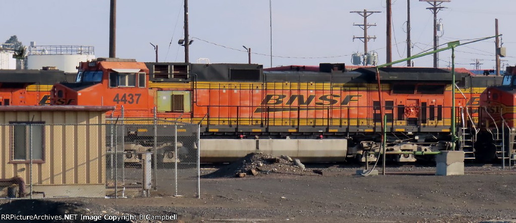 BNSF 4437