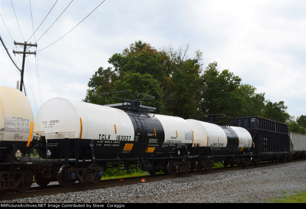 TCLX 163037 IS NEW TO RRPA, and SHPX 207968