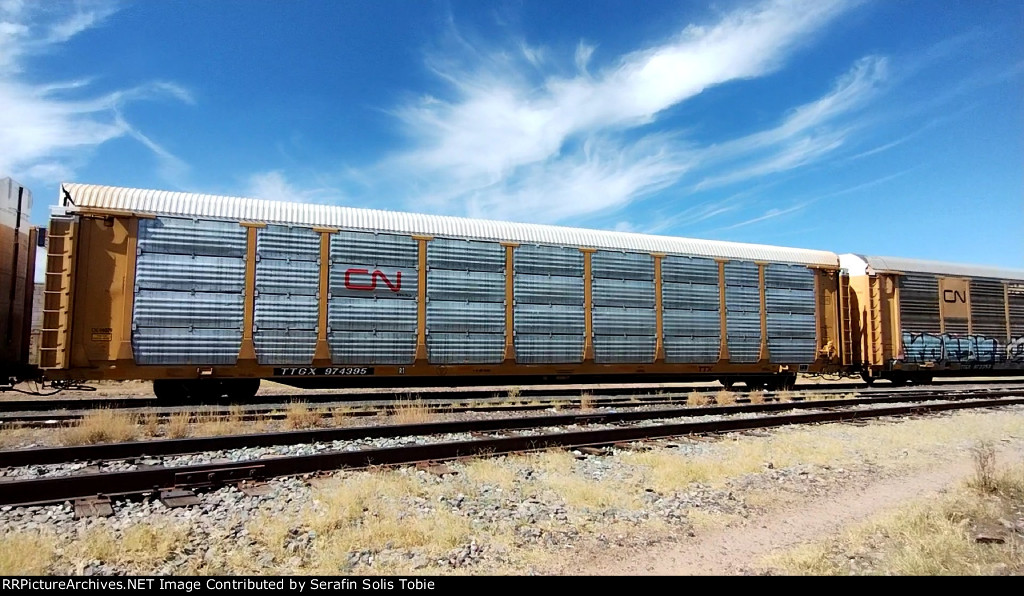 CN 96079 TTGX 974395