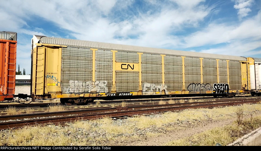 CN 99032 TTGX 979599