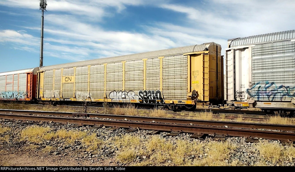 CN 99032 TTGX 979599