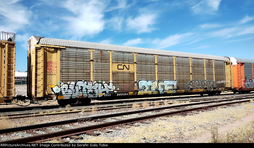 CN 98099 TTGX 993154