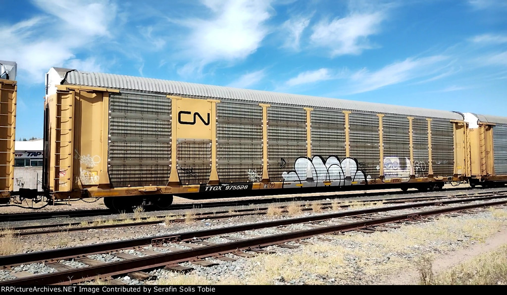 CN 6167 TTGX 975528