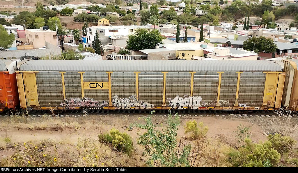 CN 99039 TTGX 982979