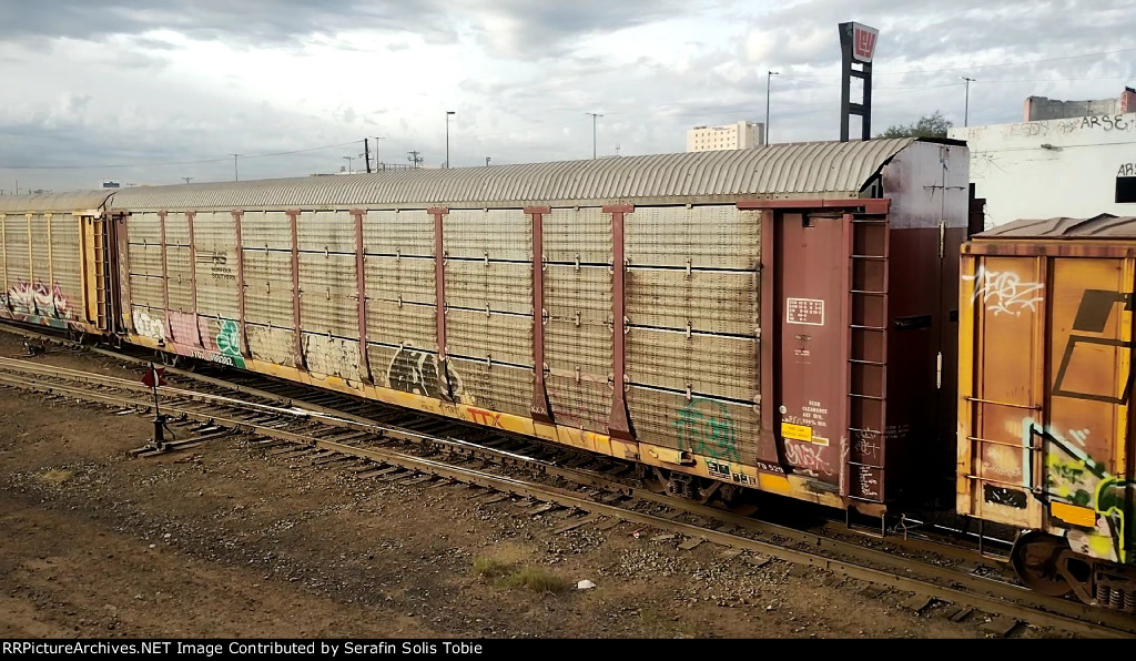 NS 22486 TTGX 990382